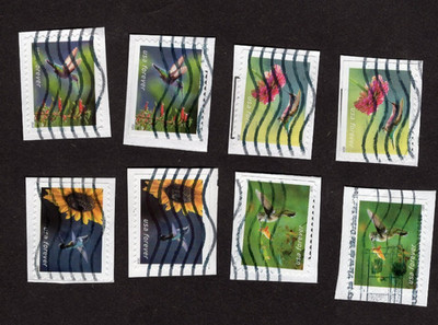 #5845-8 Garden Delights Hummingbirds Stamps, 8 Unique Edges, Forever ...