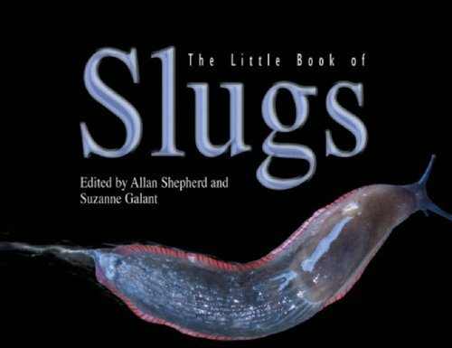 The Little Book of Slugs Paperback Book The Fast Free Shipping ...