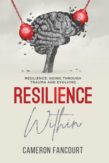 Resilience Within von Cameron Fancourt (2019, Taschenbuch) online ...