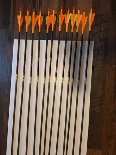12 Gold Tip Hunter 340 Arrows With Wraps & TAC Vanes | eBay