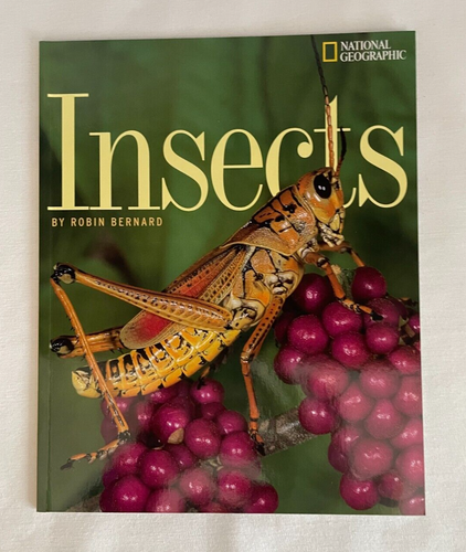National Geographic INSECTS ~ by Robin Bernard ~ NEW | eBay
