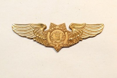 SAN JOSE CALIFORNIA POLICE WINGS PIN Vintage Obsolete Badge Authentic ...