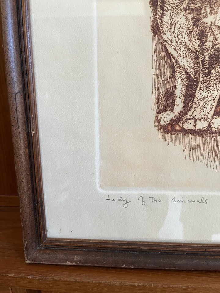 Herbert Lewis Fink Signed Etching Lady Of The Animals AP Original Print ...