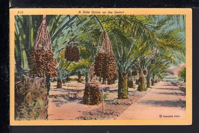 Postcard - Arizona - Phoenix - Date Grove | eBay