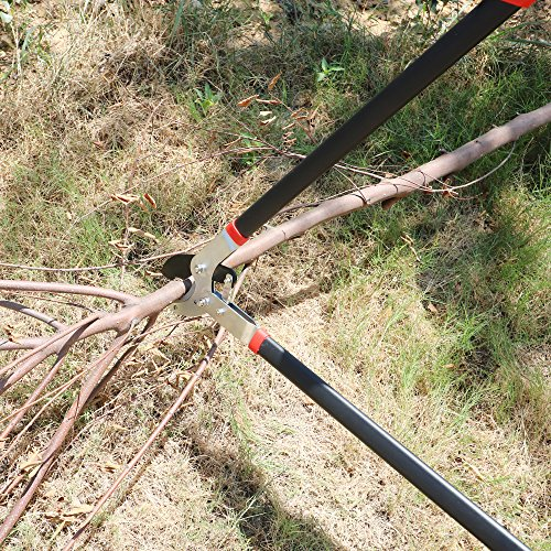 GARTOL Anvil Lopper 29 Inch Heavy-Duty - Compound Action Lopping Shears ...