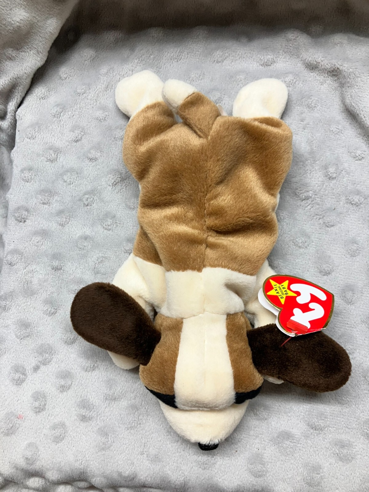 *TY BEANIE BABY BERNIE THE ST. BERNARD*RETIRED*RARE*MWBMT* | eBay