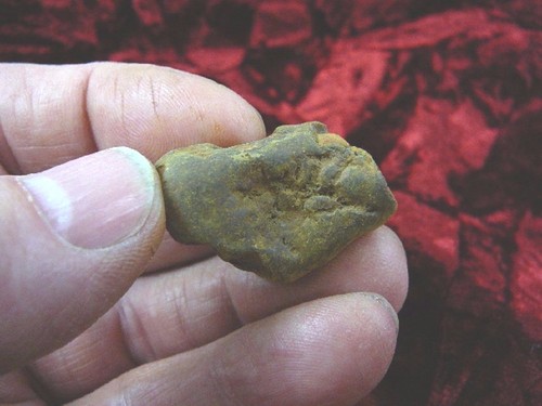 (PP450-1) 1" Genuine Fossil TURTLE POOP Coprolite DUNG WEIRD WA state ...