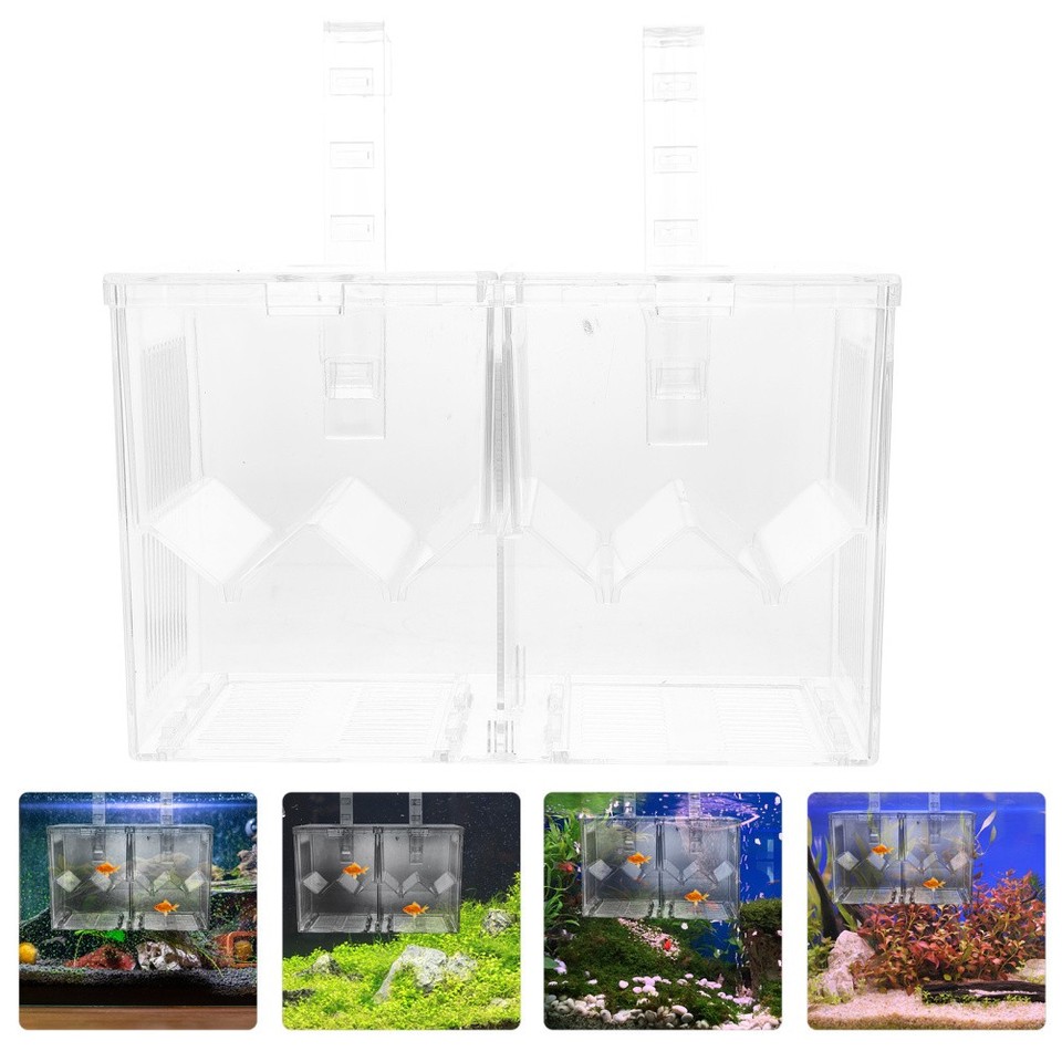 Acrylic Fish Breeding Box Fish Breeding Tool Aquarium Fish Breeding ...