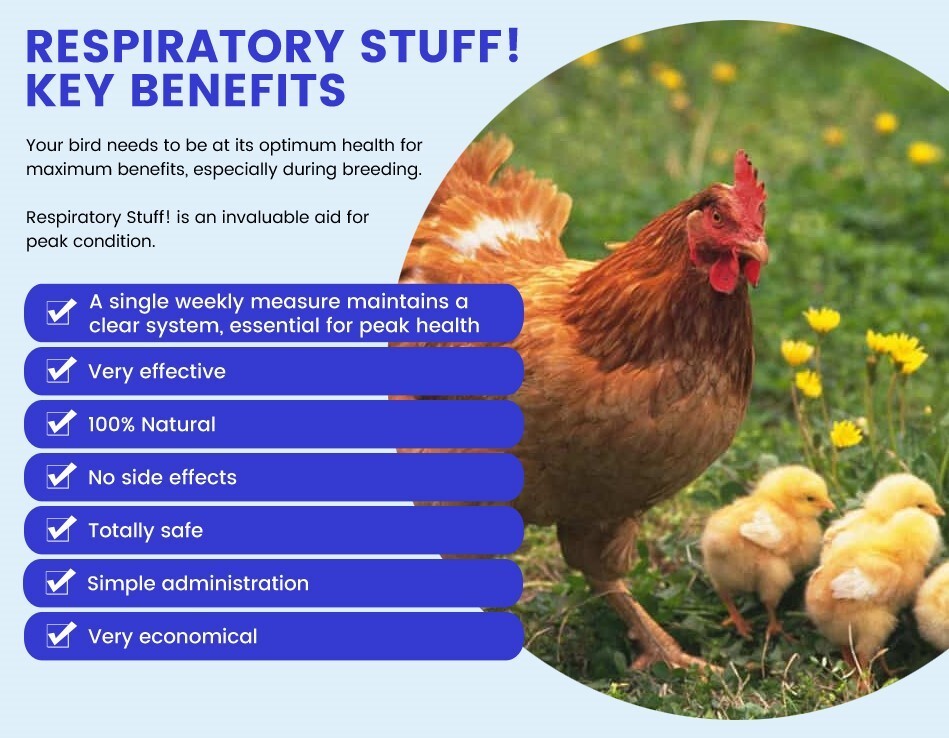 RESPIRATORY STUFF! Liquid Supplement for Chickens and Poultry 250ml ...