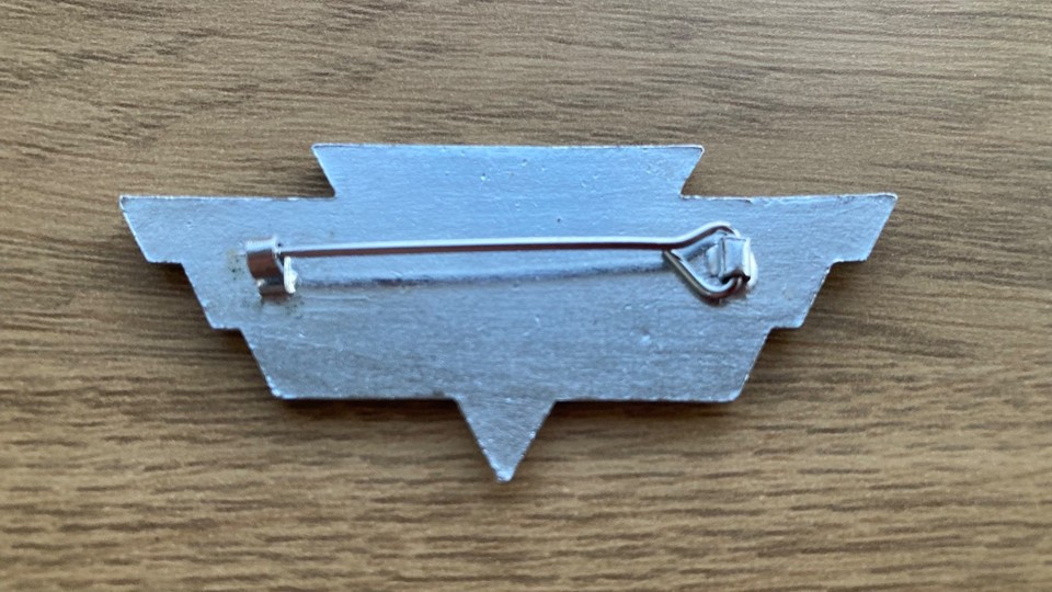 1960’s VINTAGE GIRLS VENTURE CORPS AIR CADETS ENAMEL PIN BADGE | eBay UK