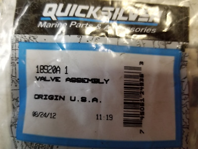 MerCruiser Quicksilver 18920A1 check valve assembly | eBay