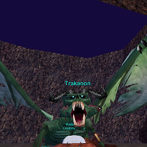 TNC 2023 | eBay Stores