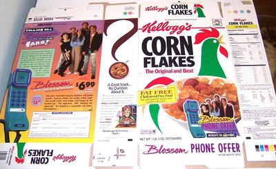 Blossom Big Bang Theory Amy Farah Fowler unused Corn Flakes Cereal Box ...