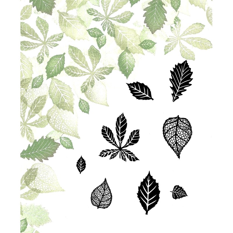 Card-io Stamps Majestix Cardio Floral Flowers Stamps | eBay