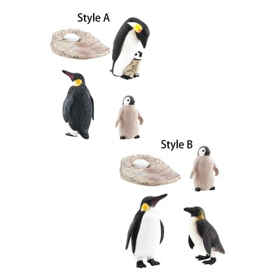 Ciclo De Vida De Un Pinguino