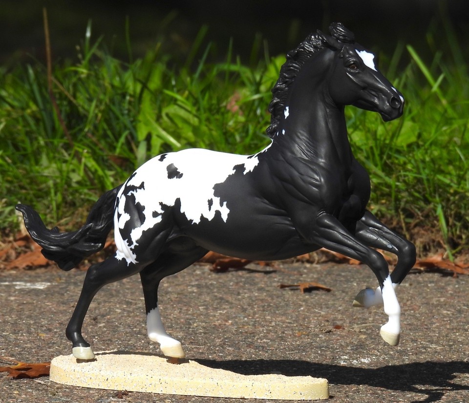 CM/Custom etched Breyer ATP Power/Babyflo to Appaloosa | eBay