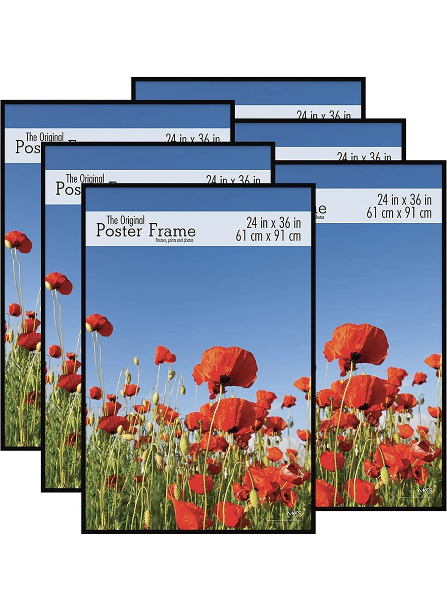 Poster Frames 24 X 36