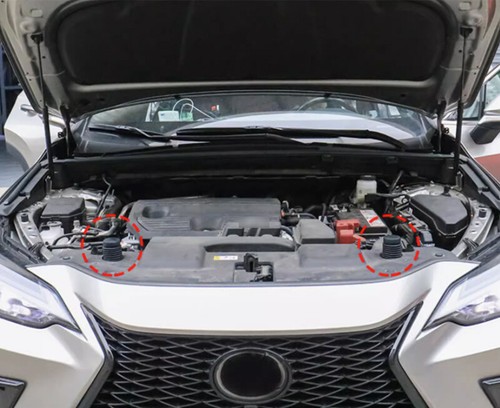 Black Front Engine Hood Spring Protection Cover Trim For Lexus RX500h ...