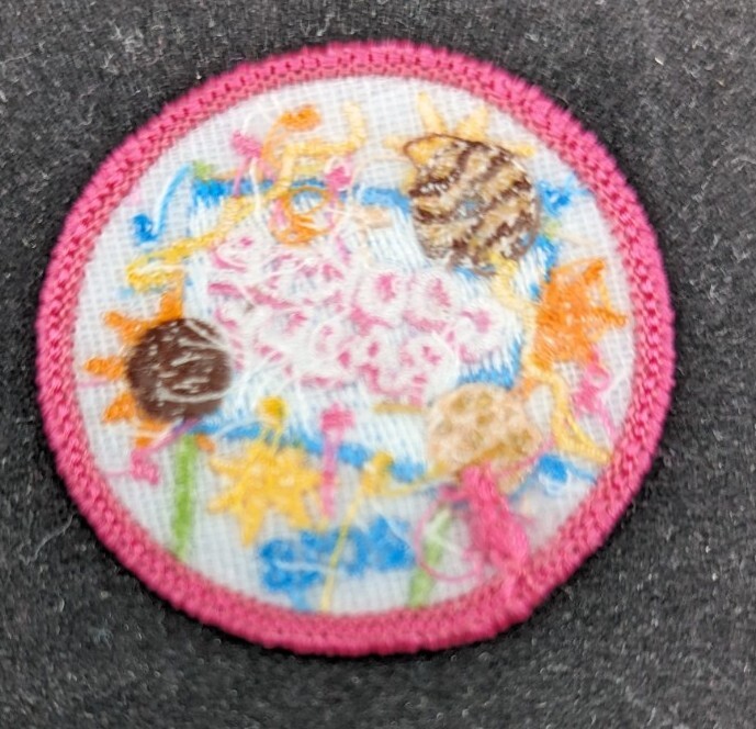 Girl Scouts Little Brownie Baker Cookie Rally Patch Badge 2018 | eBay