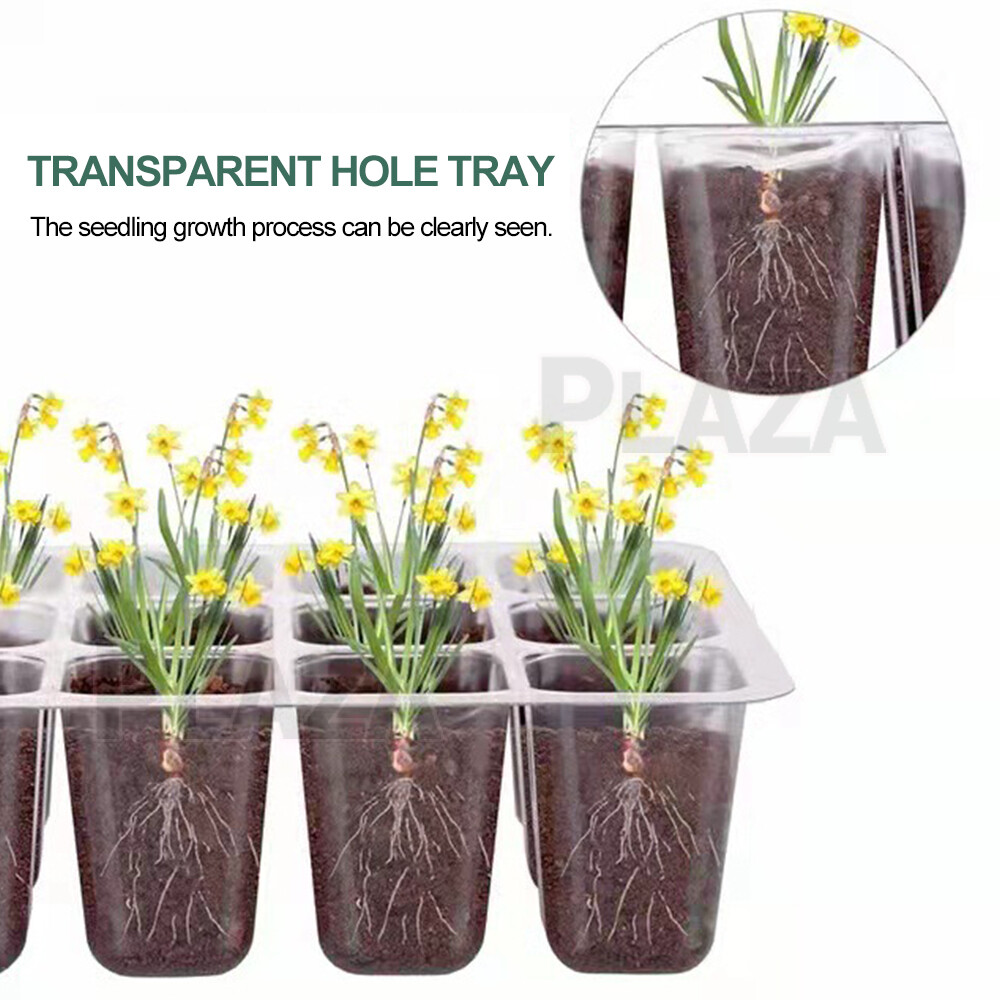 Plant Seeds Grow Box 12 Hole Propagation Nursery Seedling Starter Tray ...