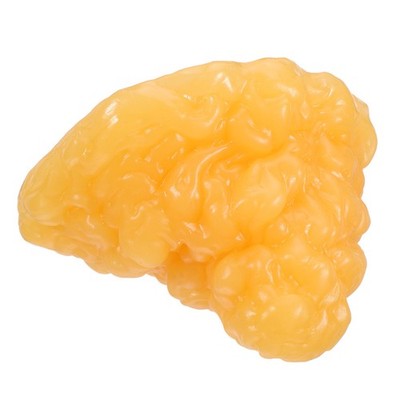 Human Body Fat - 1 Lb Anatomy Fat Nutrition Display Model For Clinical ...