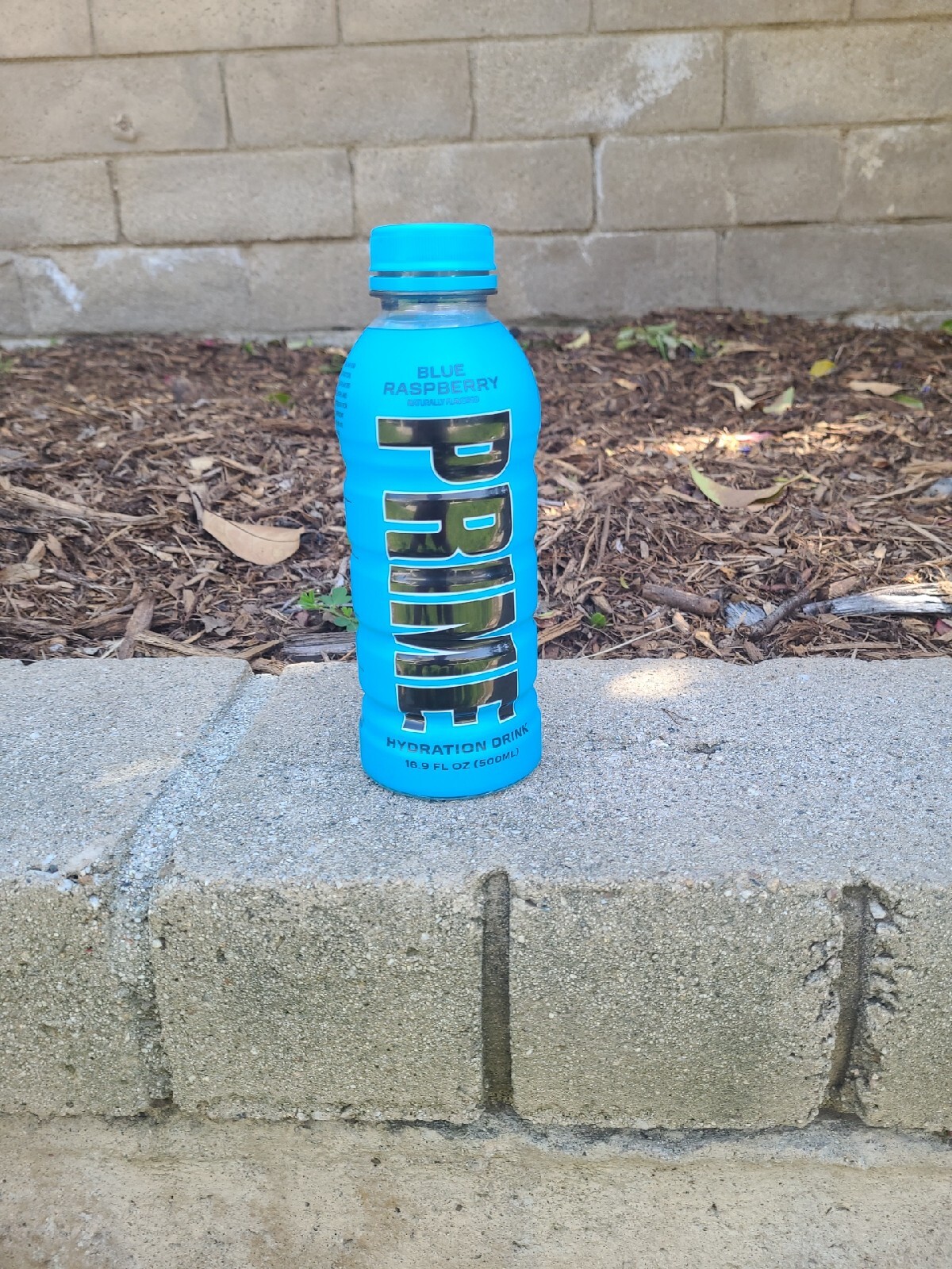 PRIME Hydration Drink - Blue Raspberry Flavor 16.9 FL OZ 500mL (EMPTY ...