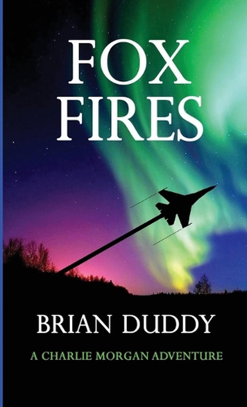 Fox Fires by Brian Duddy Paperback Book | eBay