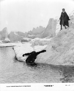 Charlotte Rampling "Orca" - movie still | eBay