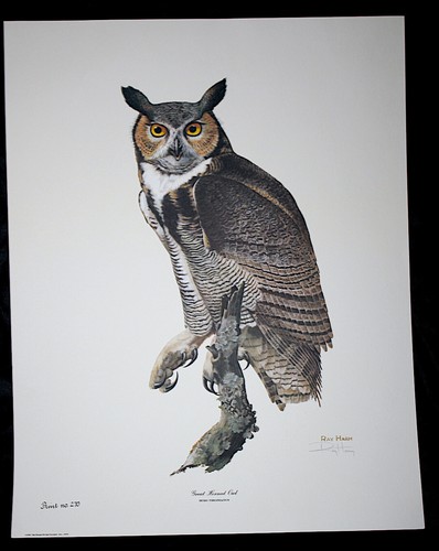 Ray Harm Limited Edition Hand Signed Print "Great Horned Owl” 1971 | eBay