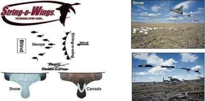 String O Wings - Mallard Duck - Flying/Motion Decoys - 6 on a string | eBay