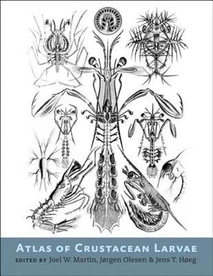Atlas of Crustacean Larvae by Joel W Martin: Used 9781421411972| eBay