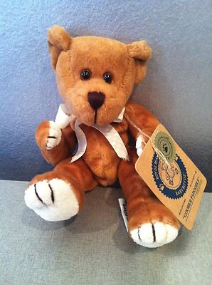 BOYDS BABYBOYDS GOOBER PADOODLE BEAR 7" | eBay
