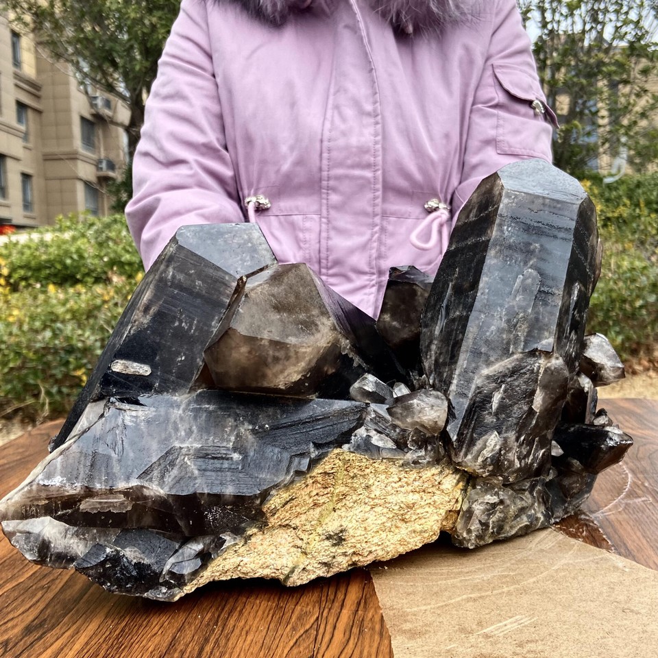 26.69LB High quality black crystal quartz cluster flower - rare ...