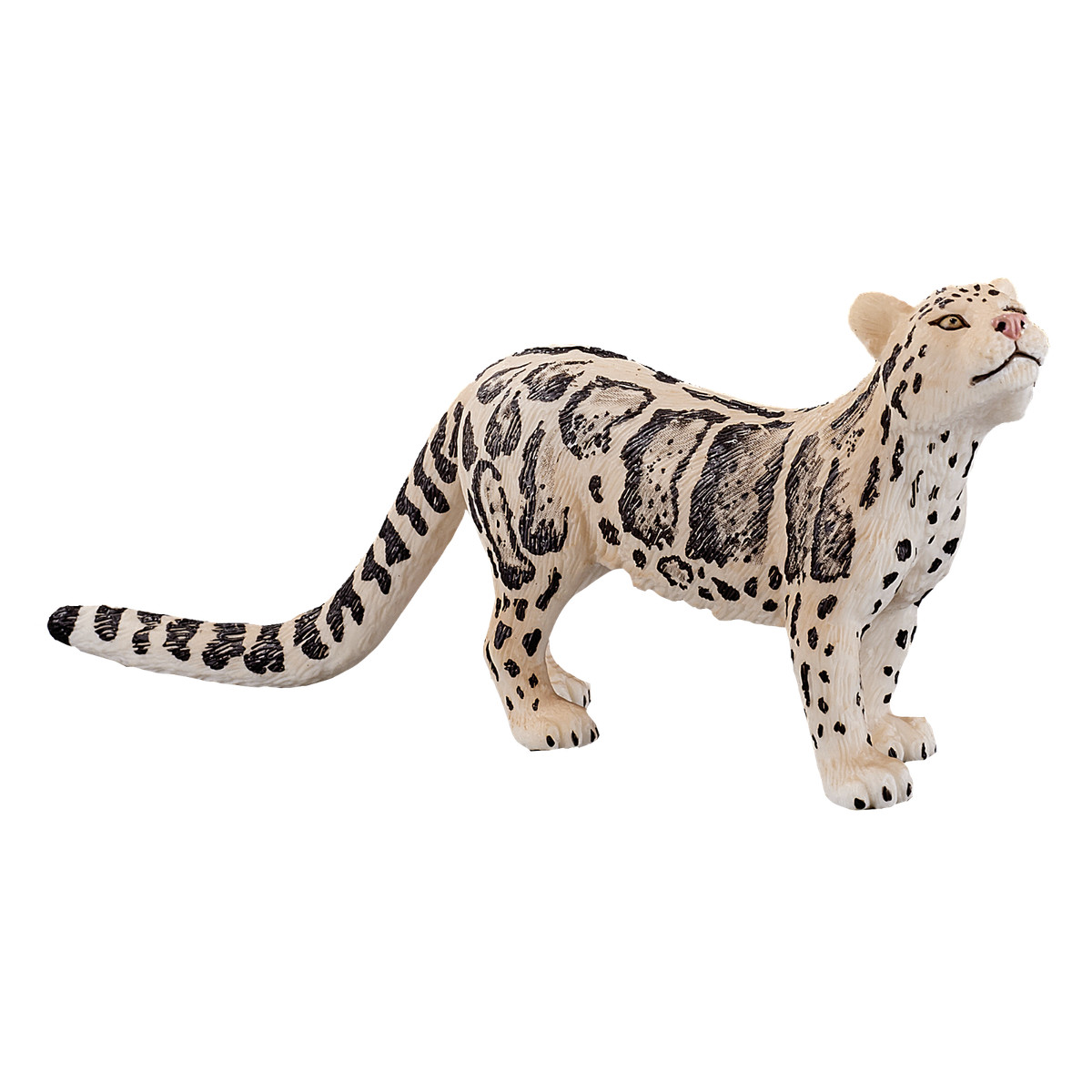 Anime Clouded Leopard