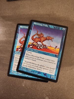 Visions 2X Shrieking Drake MTG Magic the Gathering NM | eBay