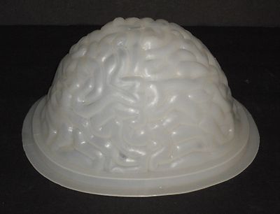 Life-size Brain Plastic Gelatin Mold No Damage Halloween Prop. | eBay