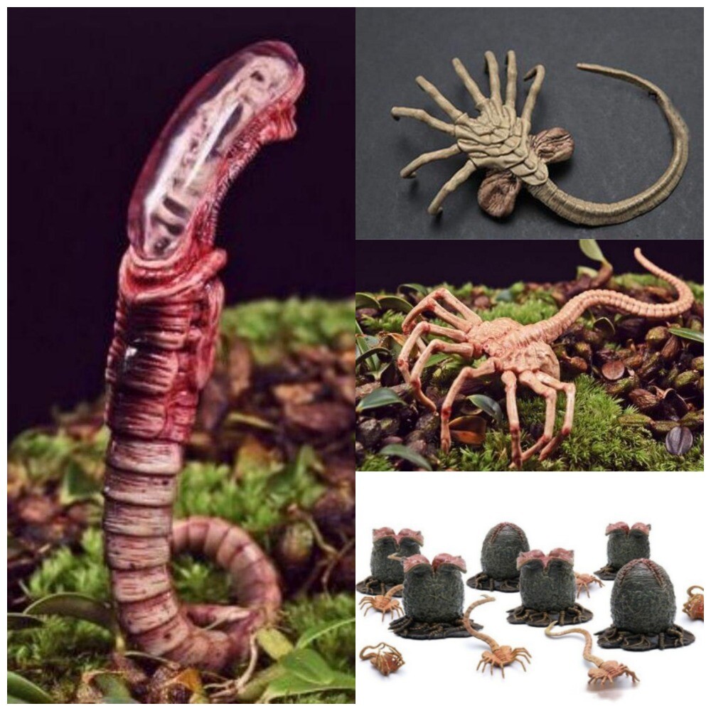 Facehugger Diagram ASMR Drawing Alien Xenomorph | Page Flipping 1 Hour