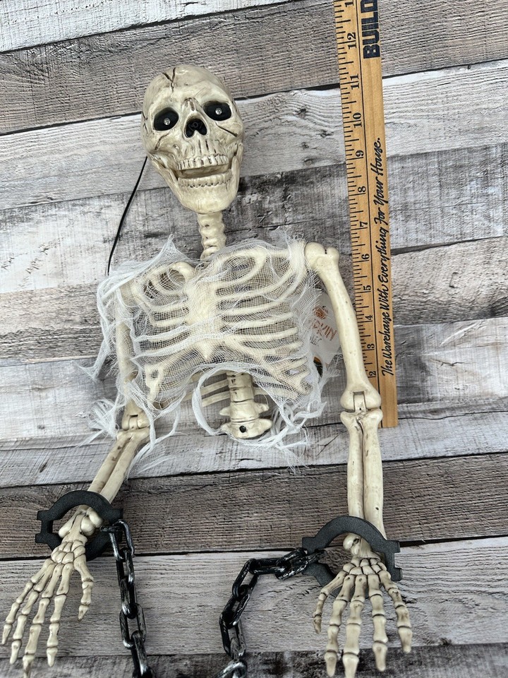 Animated Skeleton Torso Halloween Talking Eyes Light Mouth Moves ...