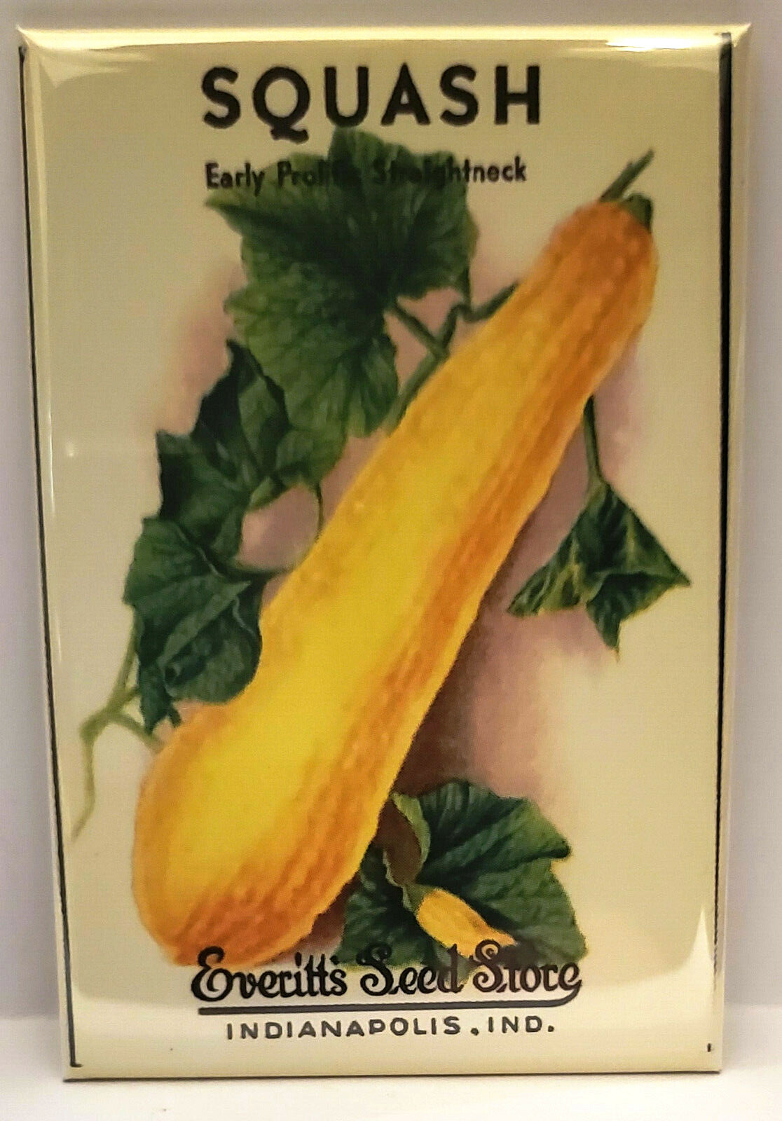 Squash Seed Packet MAGNET 2"x3" Fridge Locker Vintage Retro Farming ...