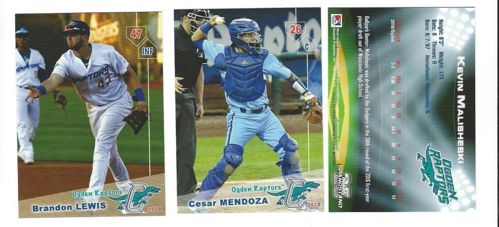 2019 OGDEN RAPTORS TEAM SET COMPLETE MINORS R LOS ANGELES DODGERS ANDY ...