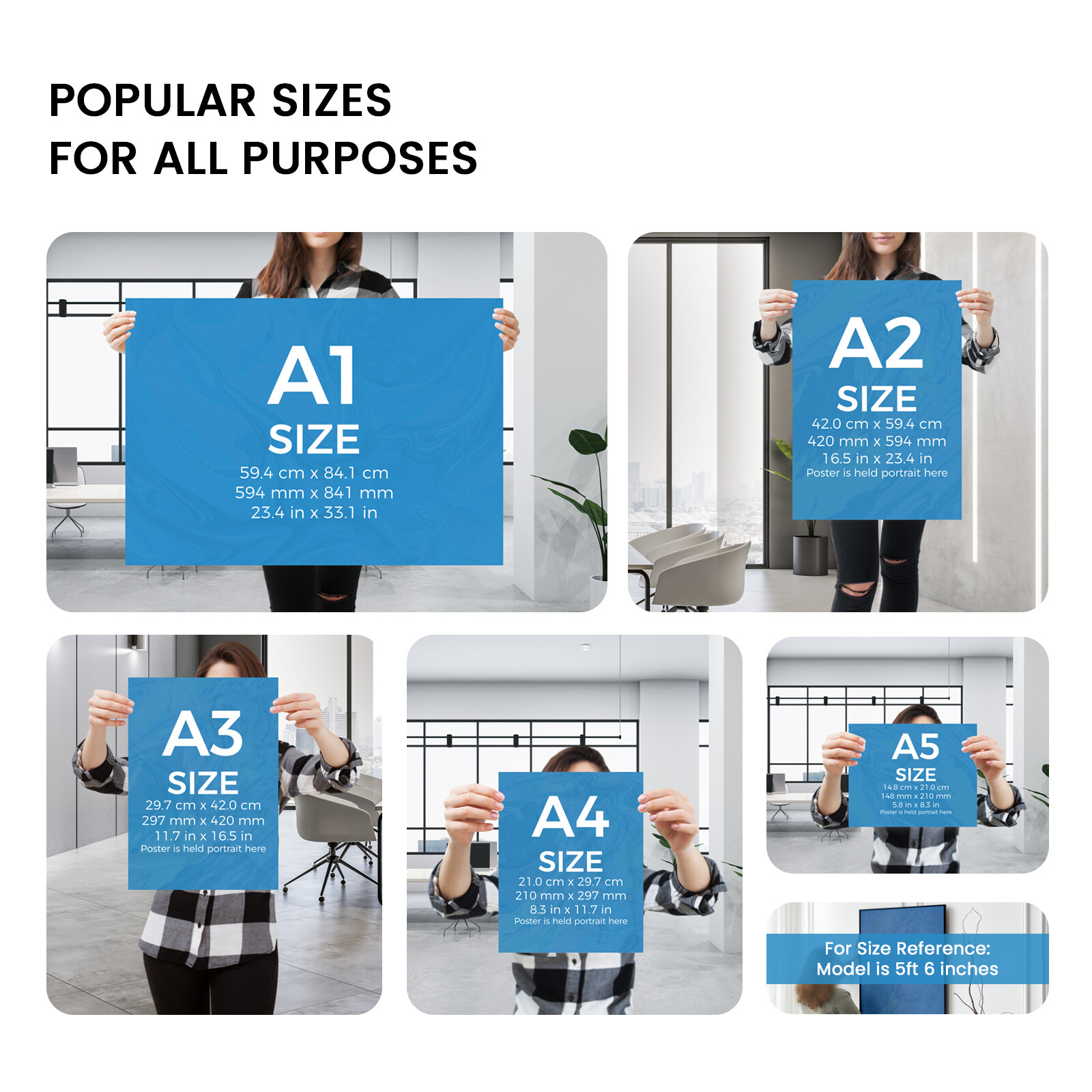 GYM WORKOUT POSTER ALL BODY Abs Bicep Chest Back Tricep Leg Exercise A4 ...