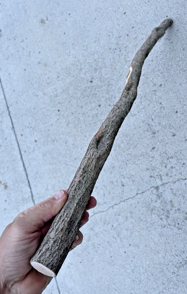 38" Diamond Willow (COLORFUL 💎 CANE) Wood CARVING, Walking Stick, Pimp ...