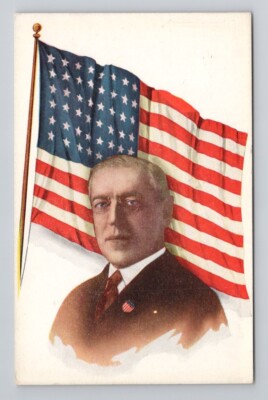 President Woodrow Wilson Flag, Edward Mitchell Publisher Postcard 3A | eBay