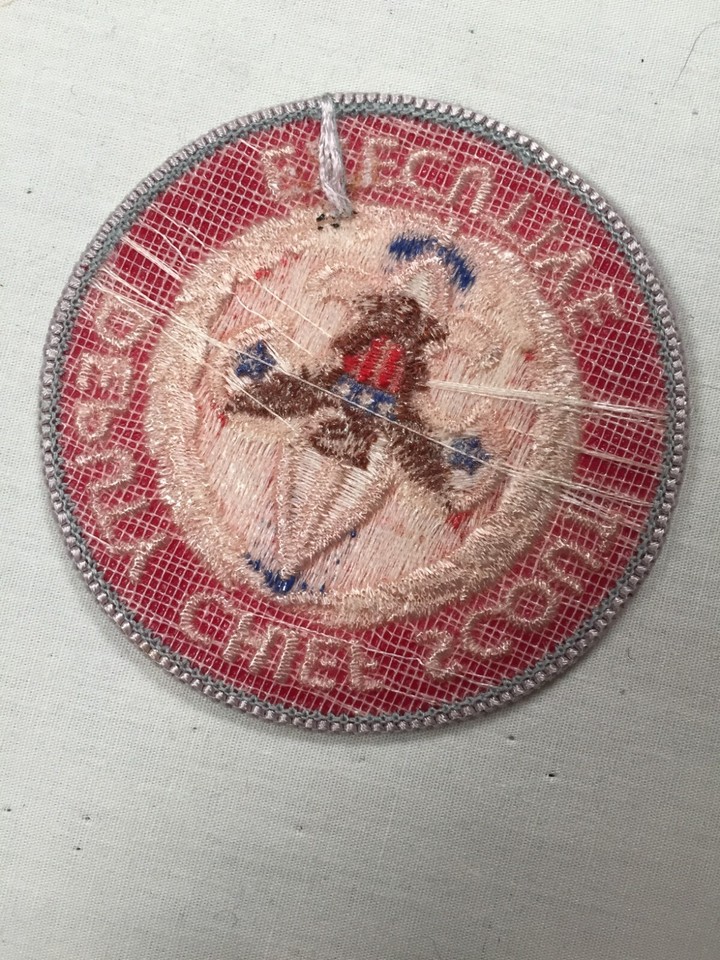 Deputy Chief Scout Executive Gauze plastic back adult BSA Position ...