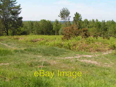 Photo 6x4 Heathland & woodland Wych Cross This is a very typical scene ...