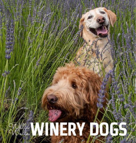 Winery Dogs of Walla Walla by Barbara Whatley (2014, Trade Paperback ...