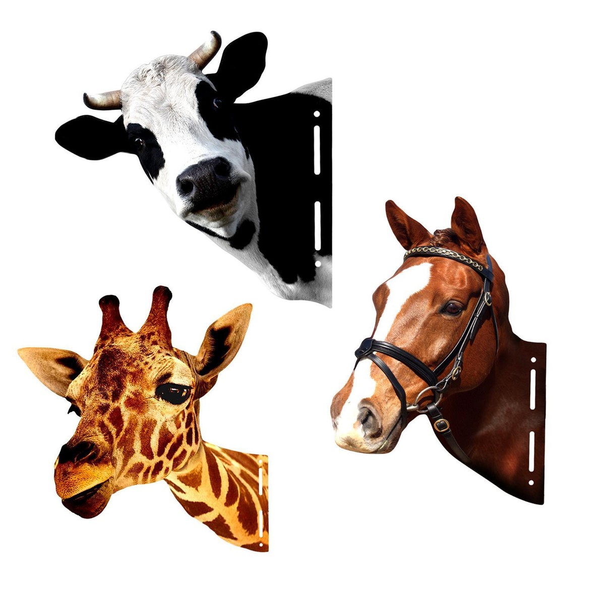 Mounted Animal Heads Art