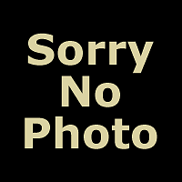 FXR Stock Kickstand Black fits Harley Davidson | eBay