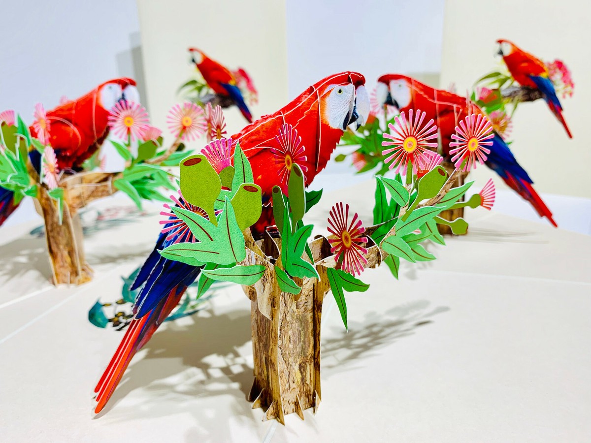 Origami Pop Up Bird Card Bird Beak Origami Pop Up Card