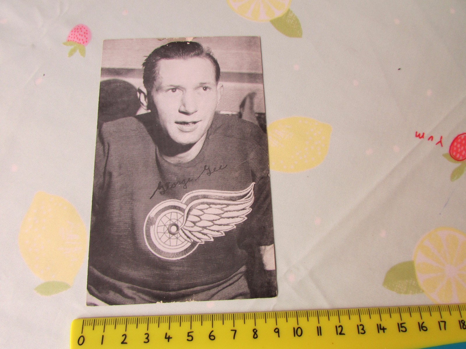 George GEE Detroit Red WINGS Ice Hockey 1950's Photo inc PRINTED Team ...